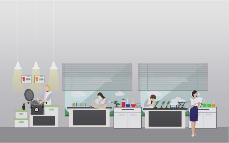 GMP Basics - Marie Gale